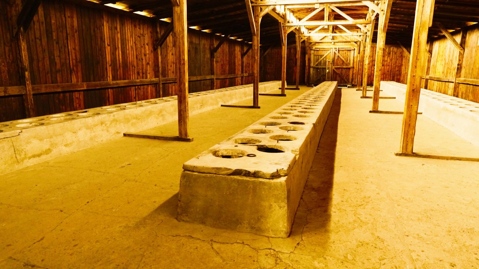Auschwitz-Birkenau: German Nazi concentration and extermination camp ...